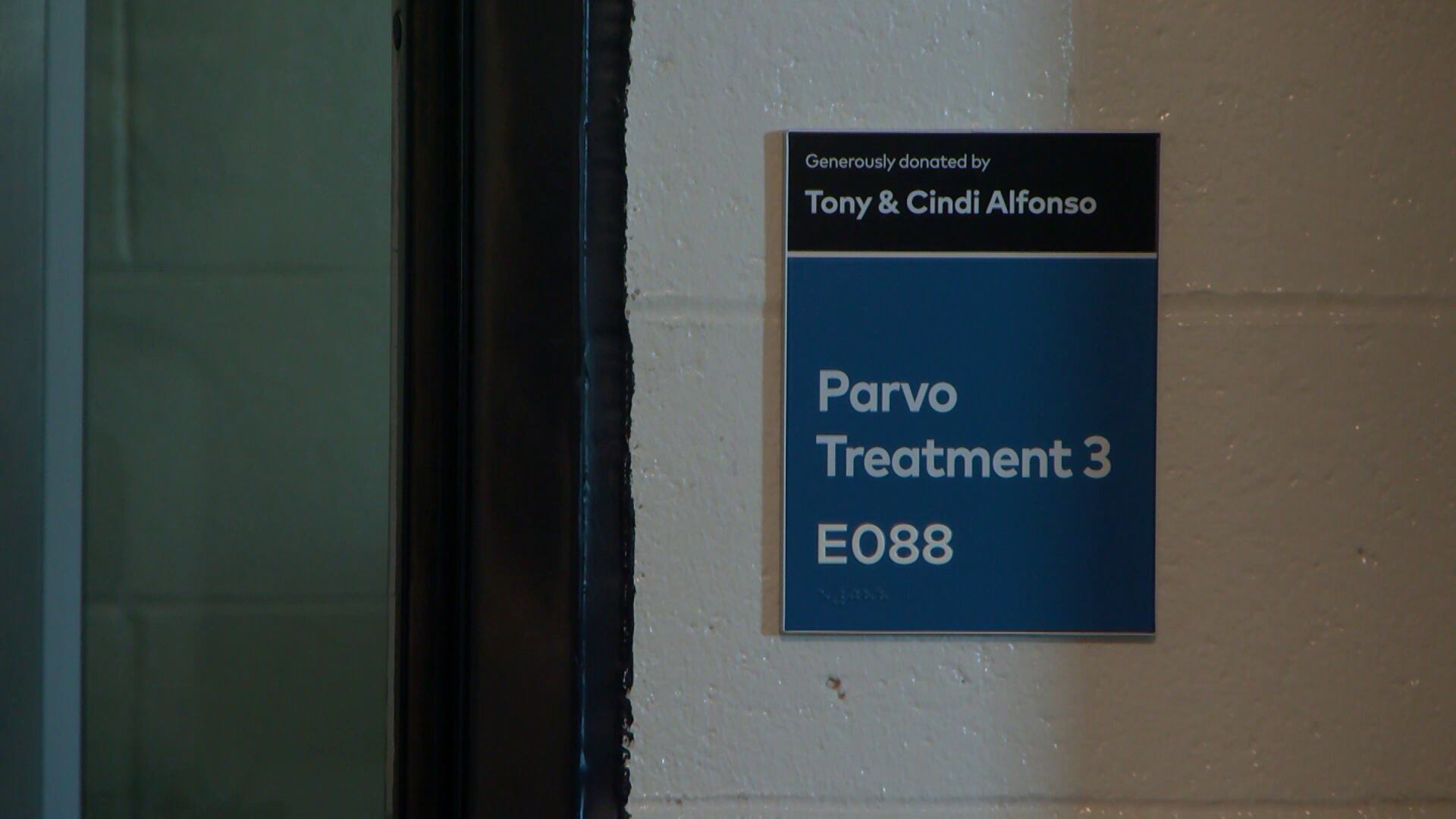 Arizona Humane Society says pet vaccine hesitancy drives surge in ...