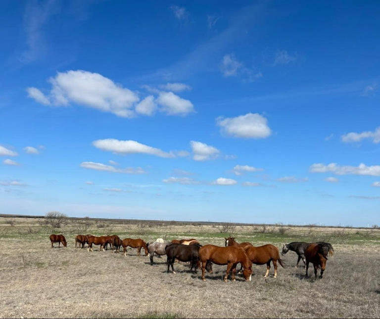 A 900K-acre land sale just made LA Rams owner Stan Kroenke the nation’s ...