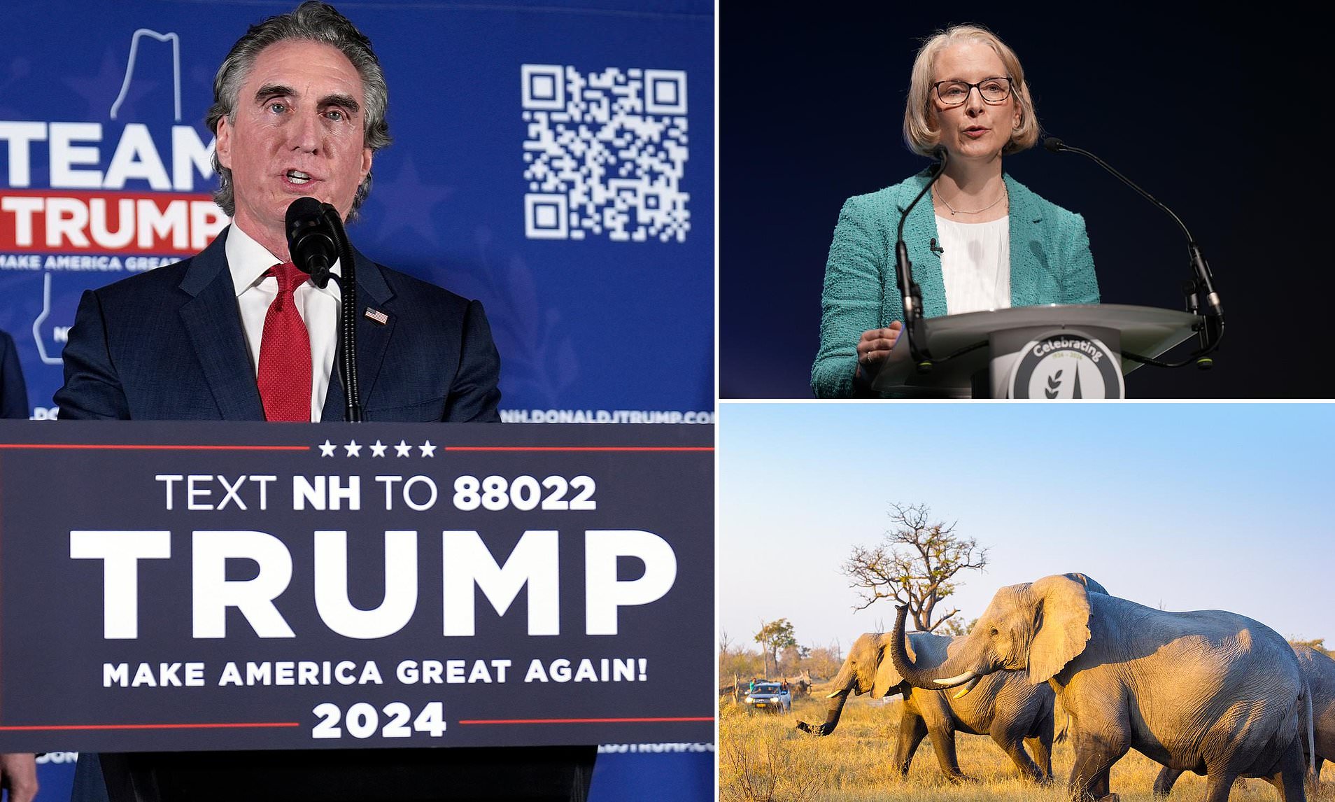 Top Trump official calls on UK government not to enforce blanket ban on ...