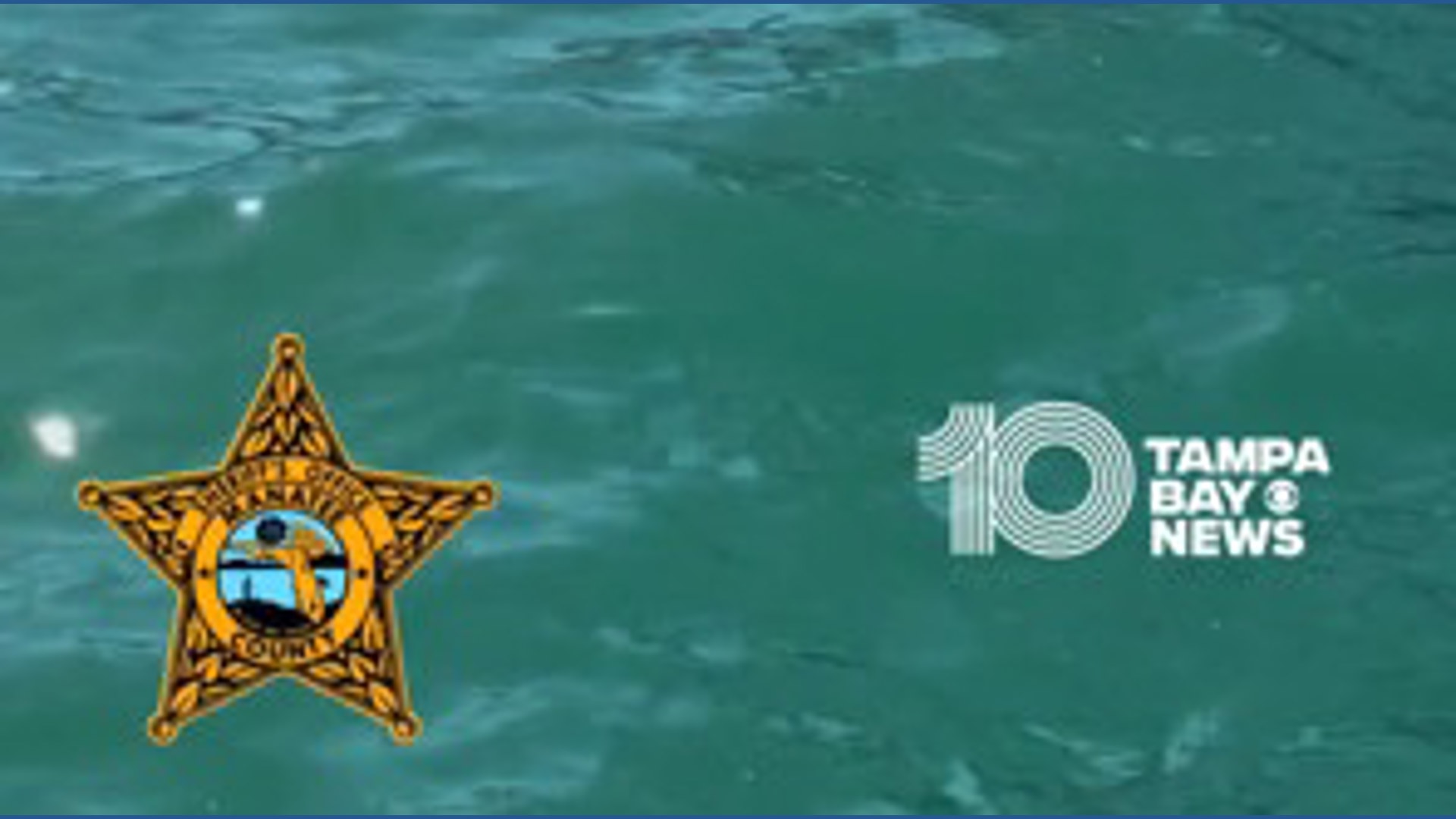 Shark tangled in fishing line rescued by marine deputies, Mote staff