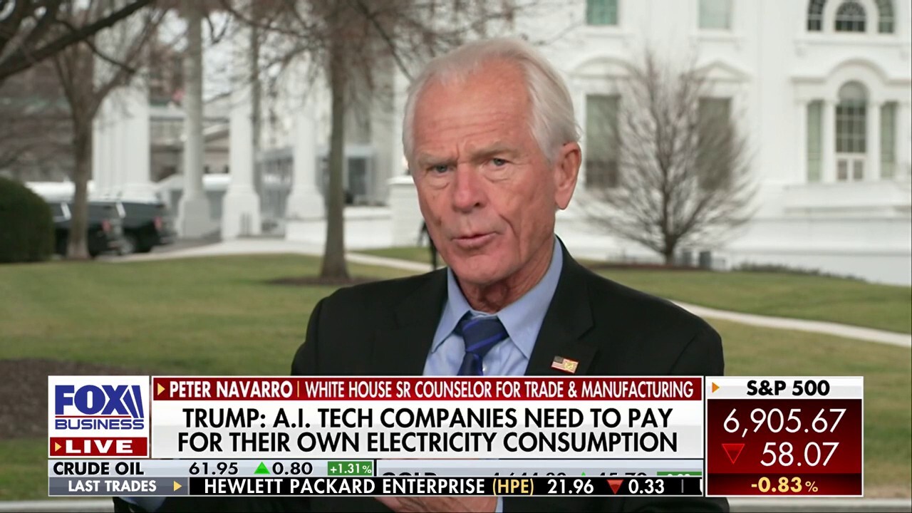 Peter Navarro: A micro approach to the macro problem of inflation is ...