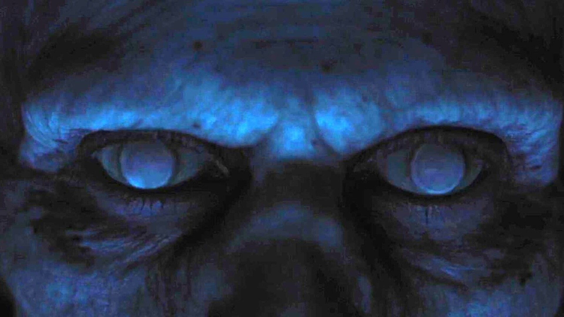 Nosferatu changed Bill Skarsgård forever