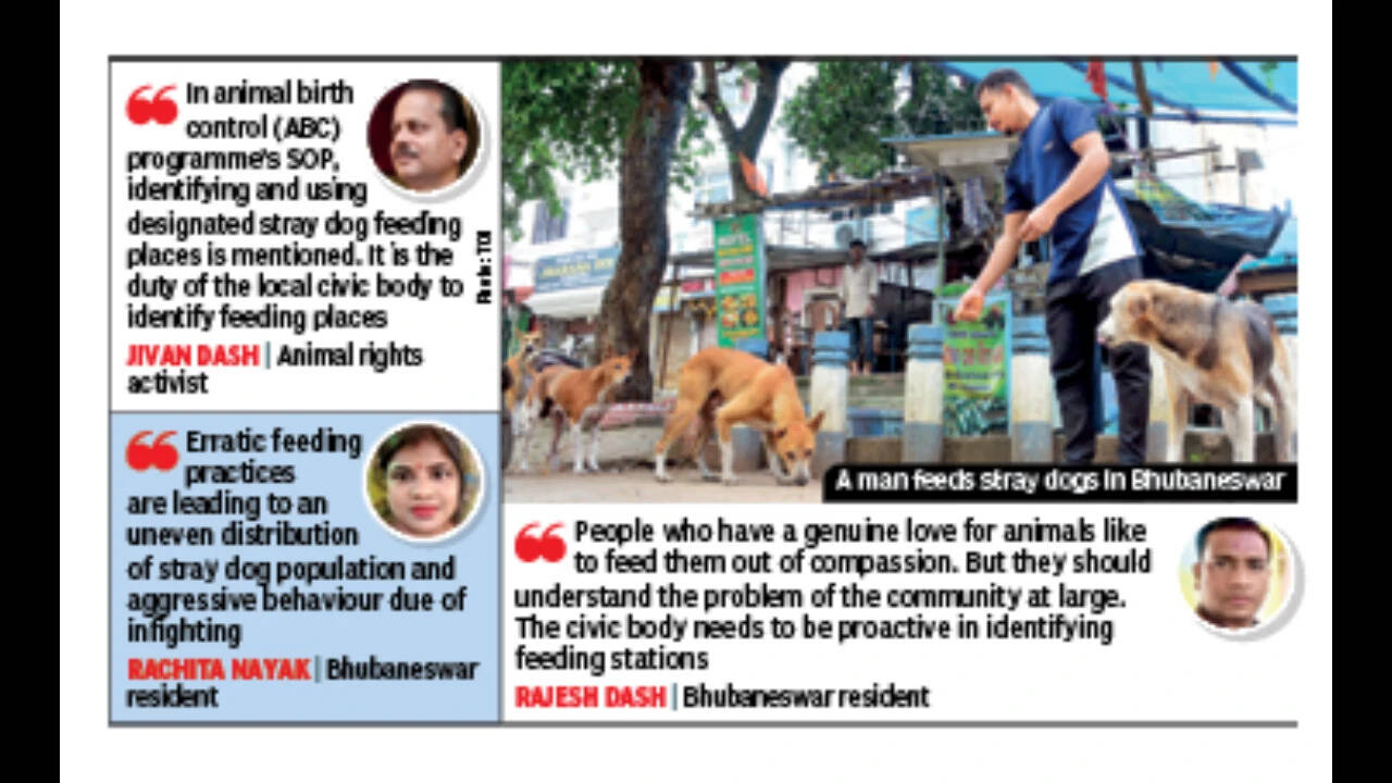 BMC to designate stray dog feeding points and build shelters
