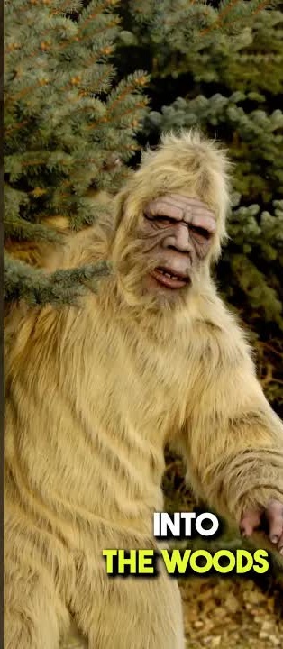 Bigfoot encounter: glowing red eyes on mountain