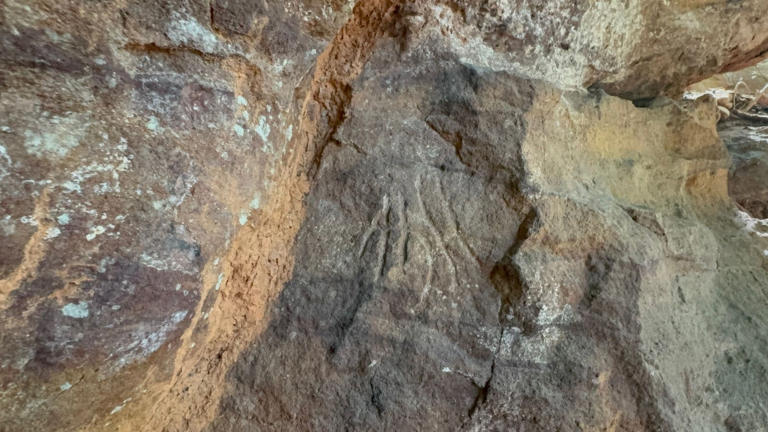 10,000-year-old civilisation in Odisha? Archaeological body begins dig