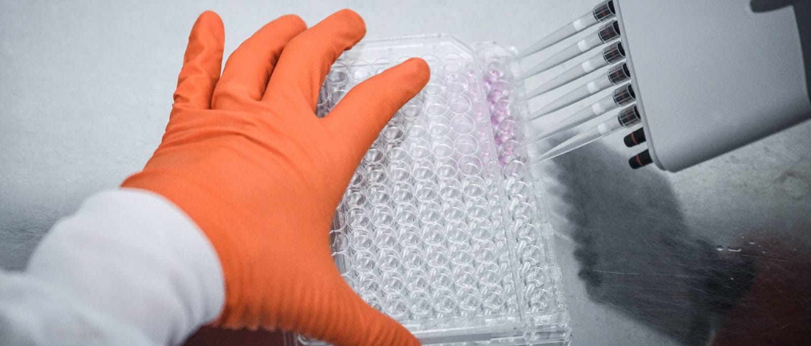 Skeleton that washed ashore decades ago finally identified as missing ...