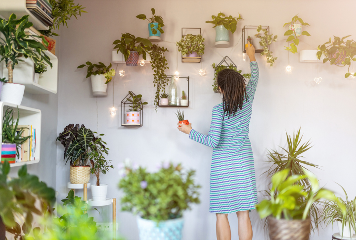 15 aromatic indoor plants to bring the garden indoors