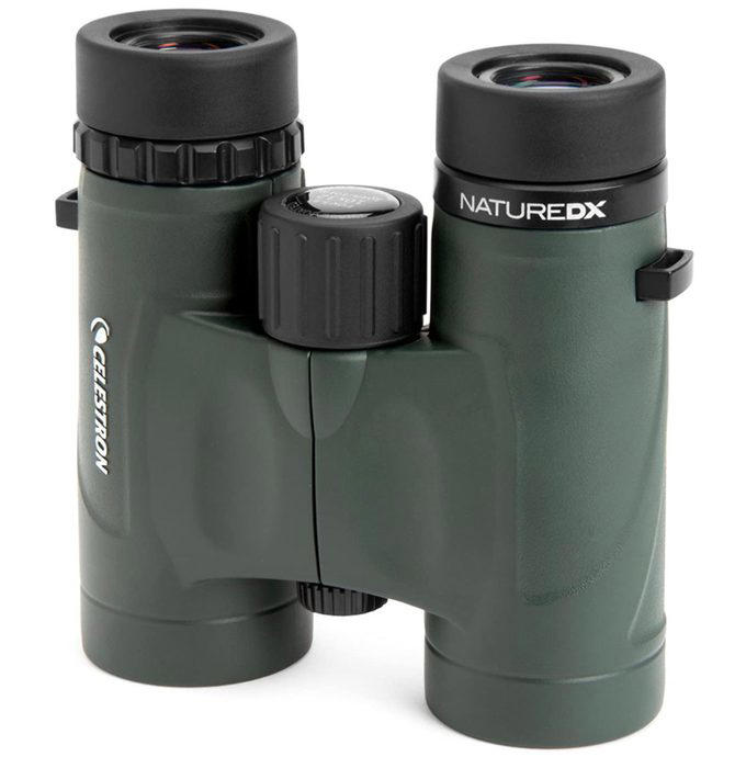 Bird-watching for beginners: Start identifying birds