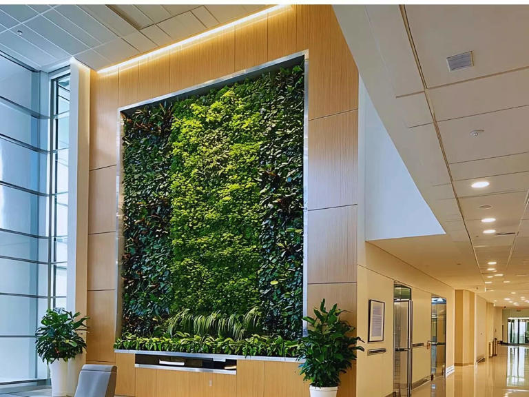 Living walls vs vertical gardens: What’s the real difference, which is ...