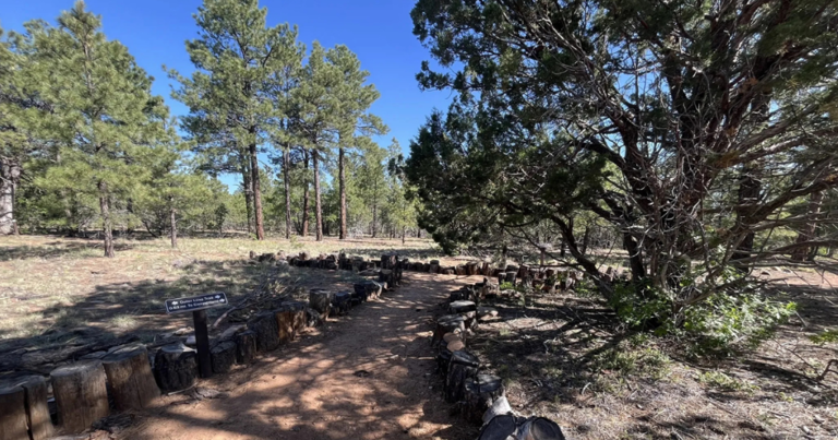 5 underrated state parks in New Mexico most people miss