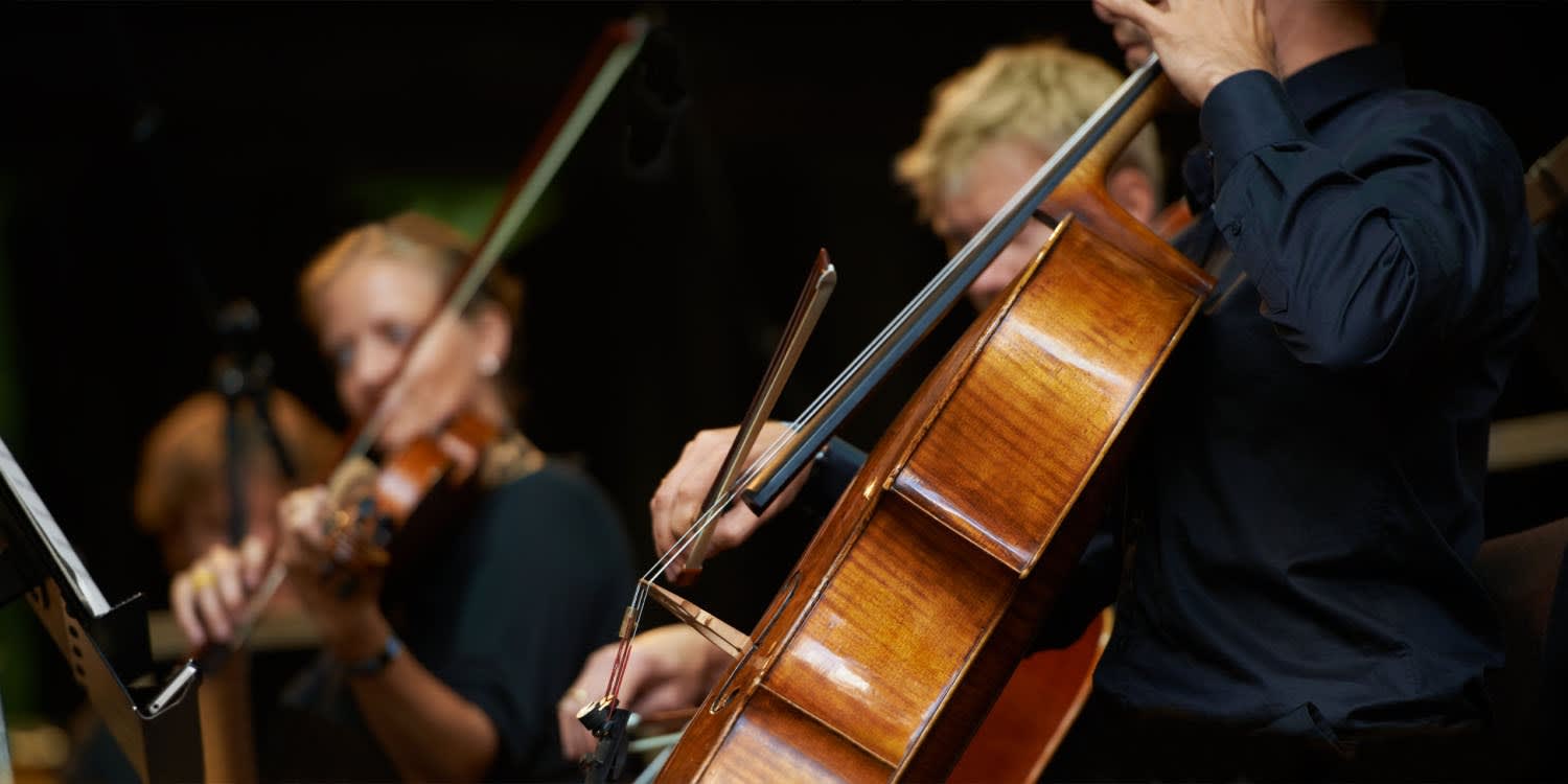 Music training may buffer children against the academic toll of poverty