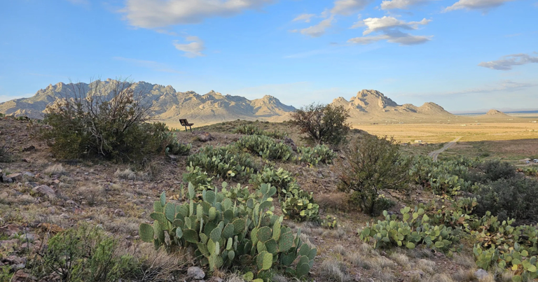 5 underrated state parks in New Mexico most people miss