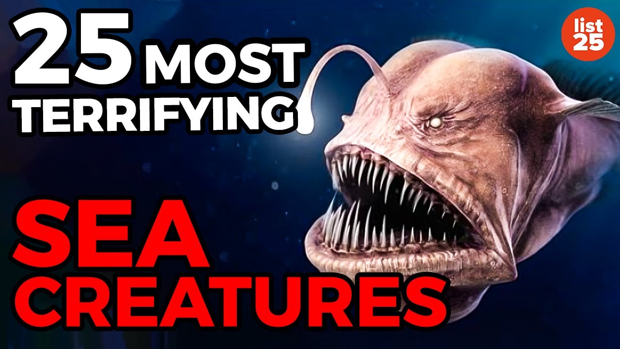 25 sea creatures that look like they’re from a nightmare