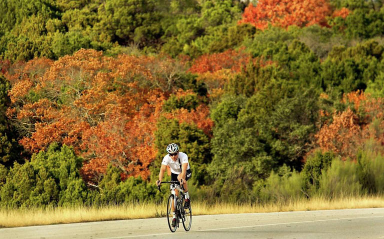 Can you become immune to cedar fever? How to treat this Central Texas ...