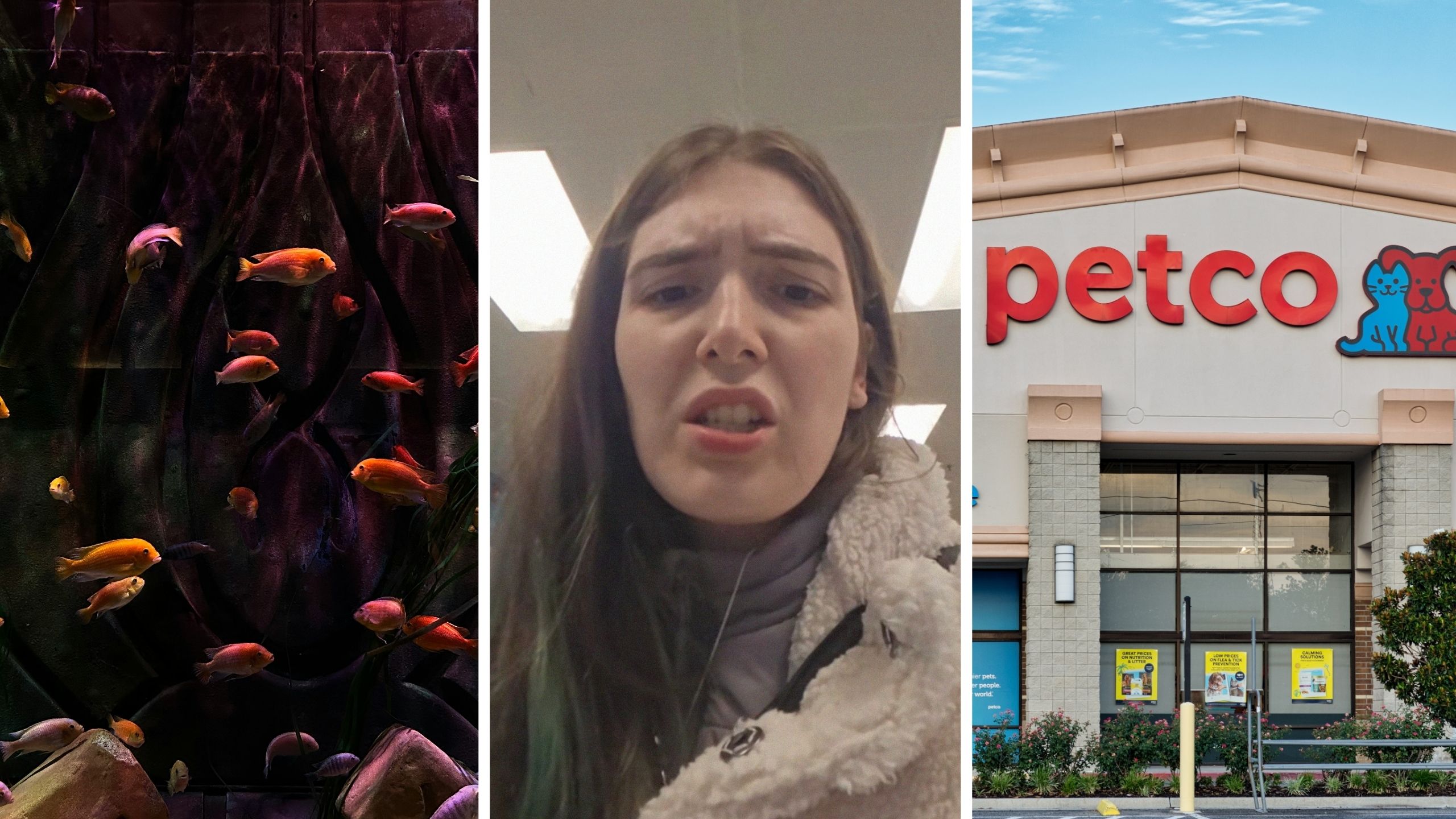 ‘Petco what the actual hell?’: Woman goes to the fish aisle at Petco ...