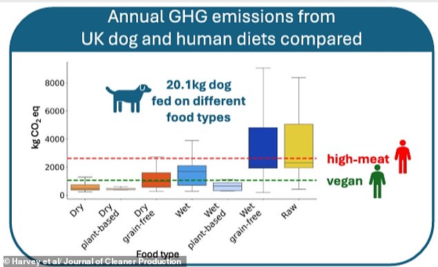 Dogs fed on premium meat have a bigger carbon pawprint than their ...