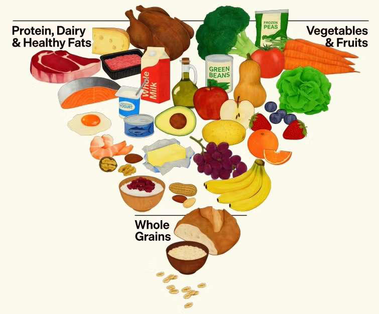 Plus de protéines dans l’assiette ? La nouvelle pyramide alimentaire de ...