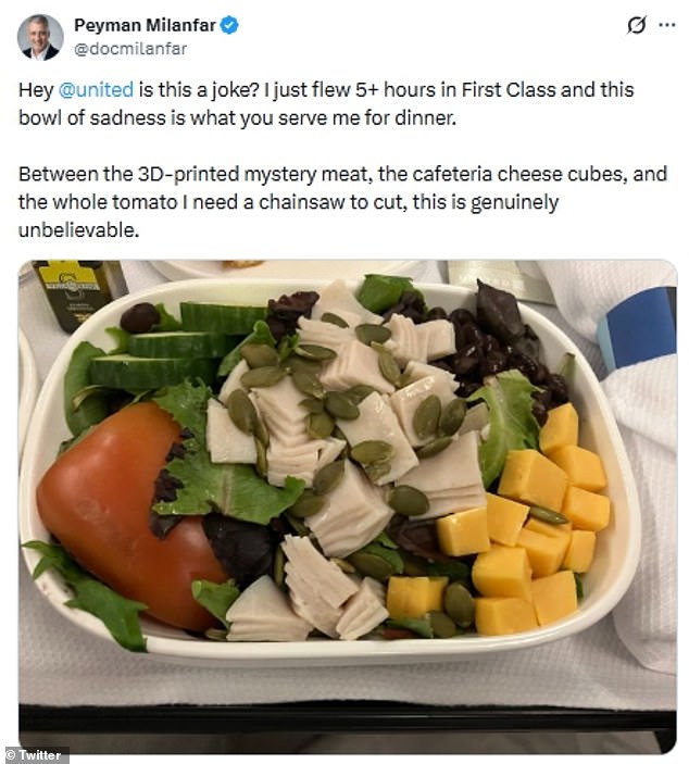 United Airlines accused of serving '3D-printed mystery meat' in 'bowl ...