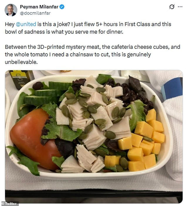 United Airlines accused of serving '3D-printed mystery meat' in 'bowl ...