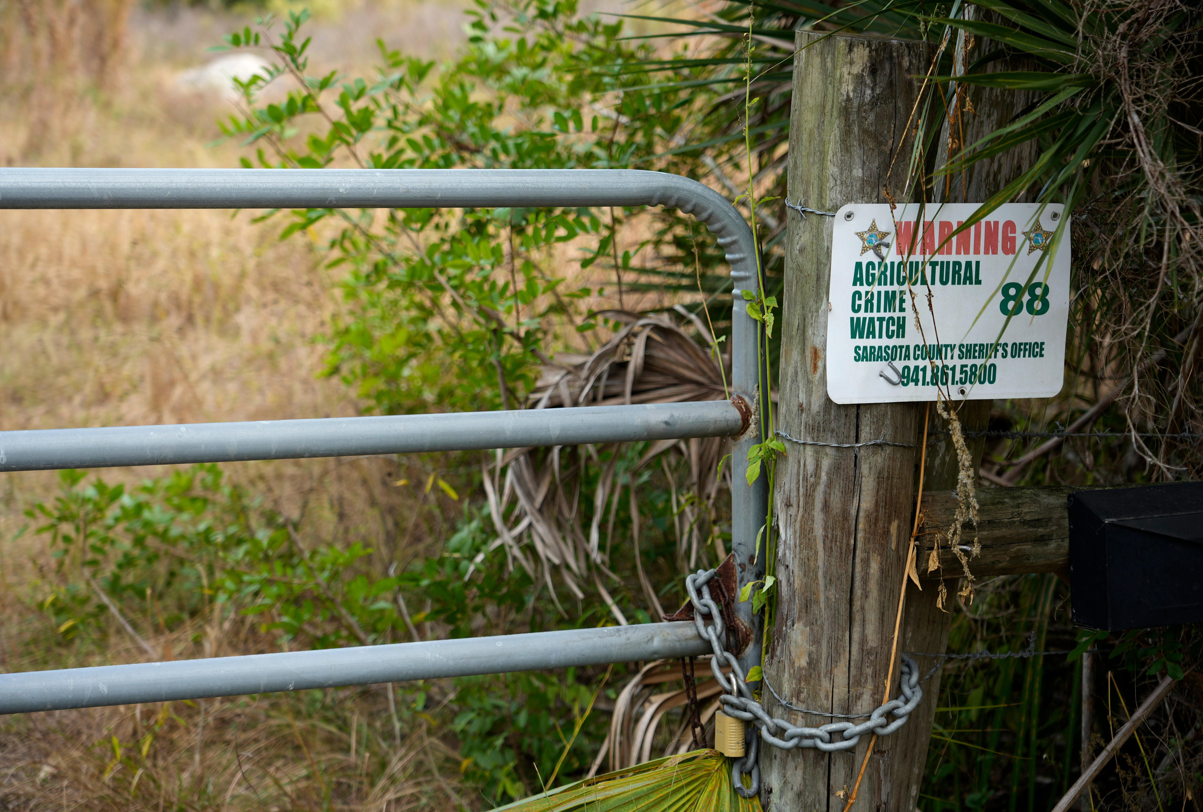 Missing diver found dead after search at Manasota Beach