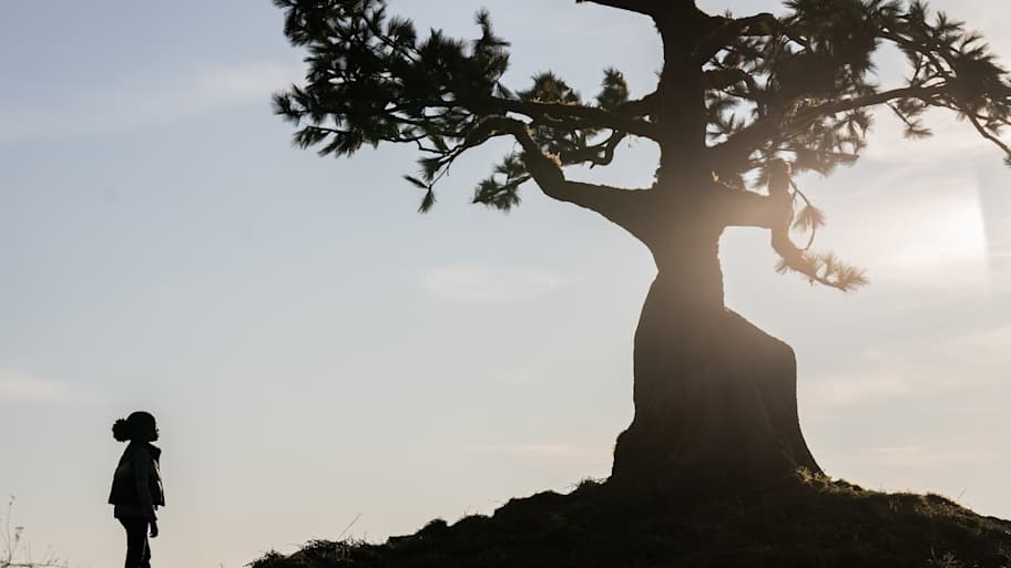 Percy Jackson season 2 episode 7 recap: Annabeth and the Golden Fleece ...