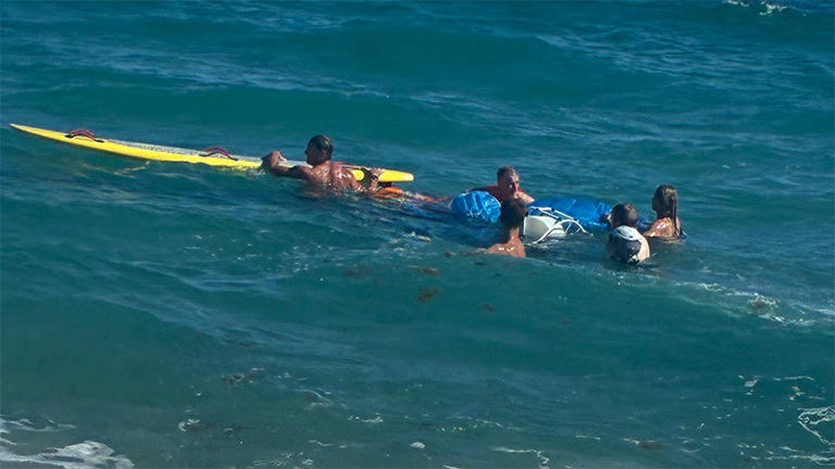 Video: Paraglider drops out of sky, makes splash landing near Florida beach