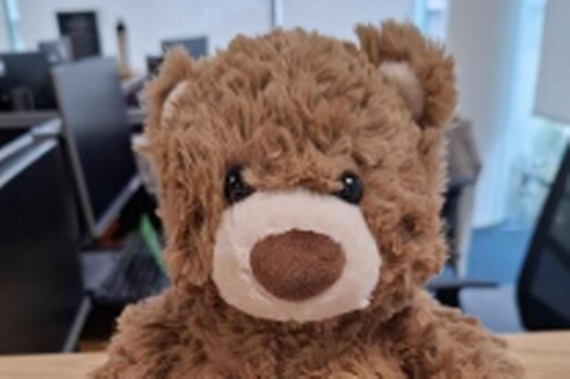 Teddy bear recalled after not meeting requirements to be sold on Irish ...