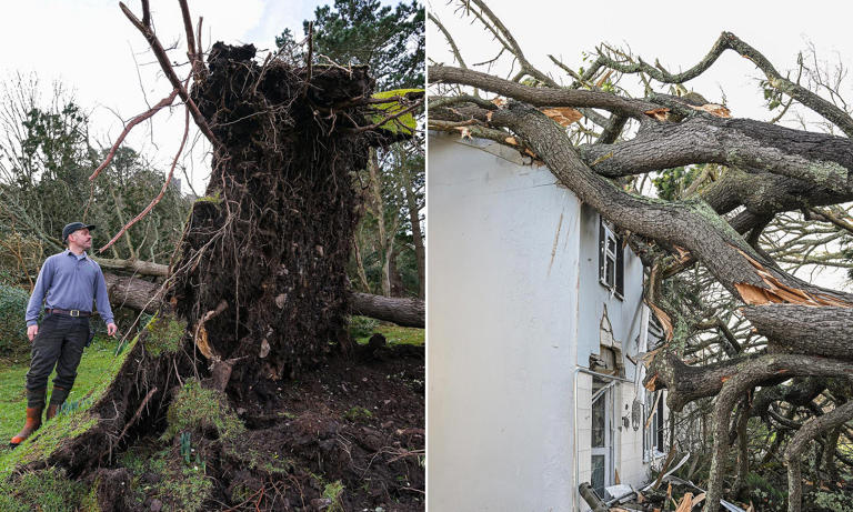 Frustrated residents hit out at lack of response after Storm Goretti ...