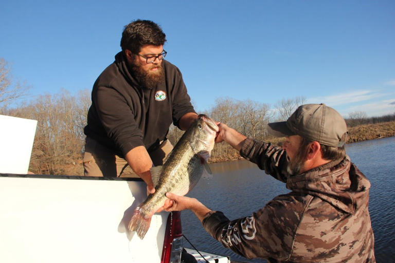 Jonesboro angler reels in state’s first official Legacy Lunker bass