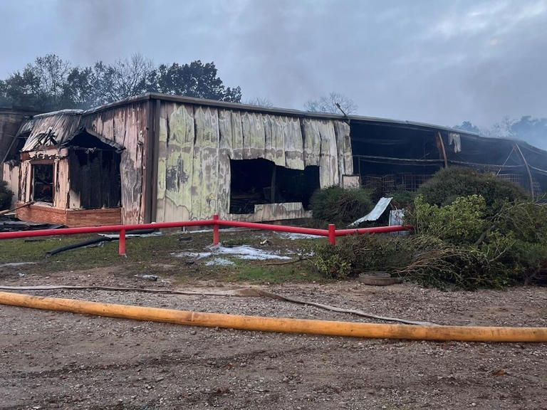 Fire marshal releases details on recycling plant fire near Tyler airport