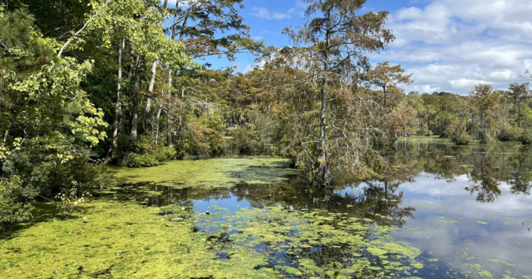 We've Been Keeping This 4 Little-Known Hiking Trails in North Carolina ...