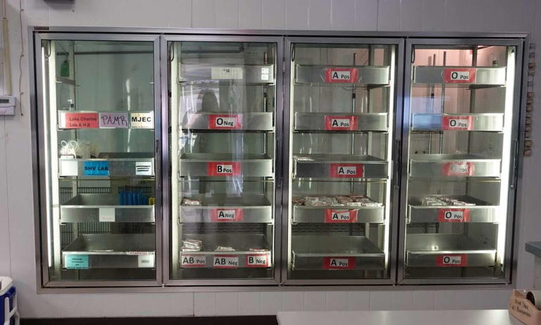 Beaumont blood bank spurs donations with Mardia Gras promotion