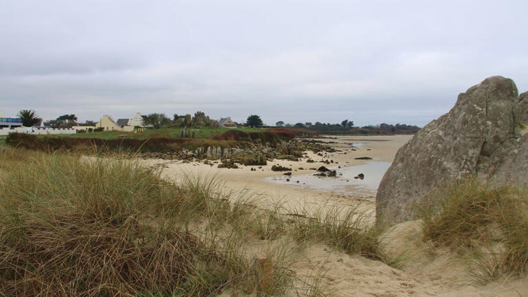 « Les chiens seront tenus en laisse » : en Bretagne, une 10e réserve ...