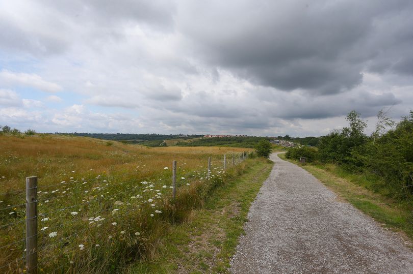 Councillor condemns ‘bonkers’ spending on consultants to decide where ...