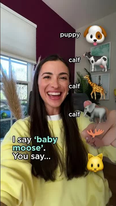 Name these baby animals quiz