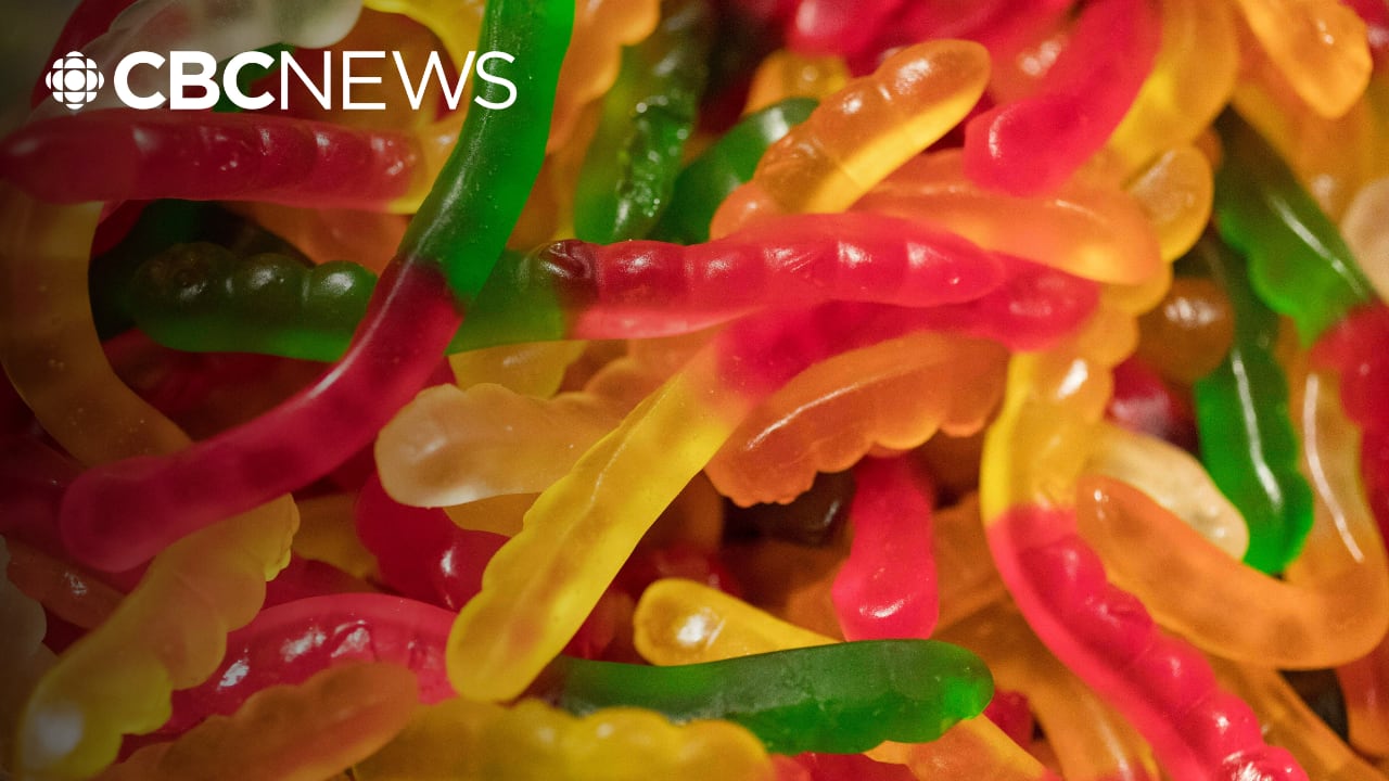 Weed gummies impair driving and increase crashes, U of Sask. study shows