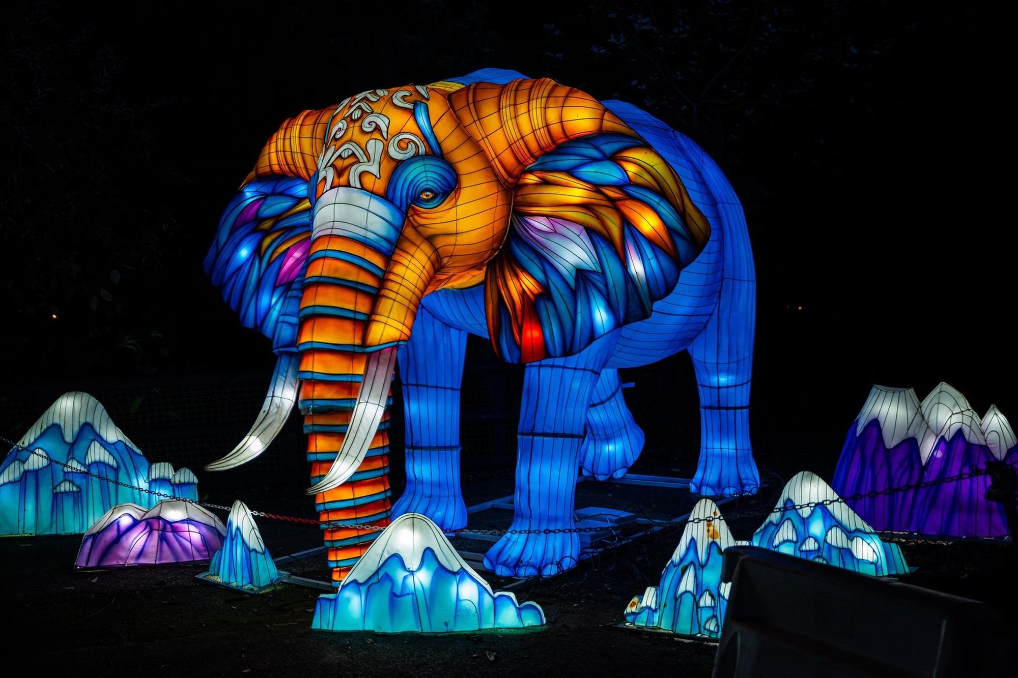 Jazz up January with dazzling light show