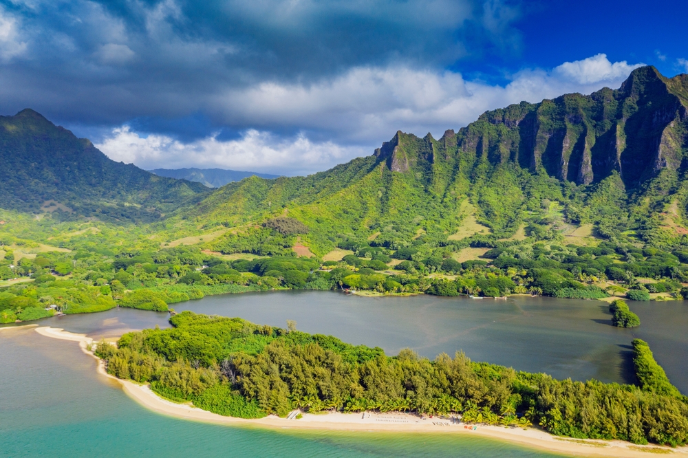17 summer beach trips where families can spot dolphins, birds, and sea ...