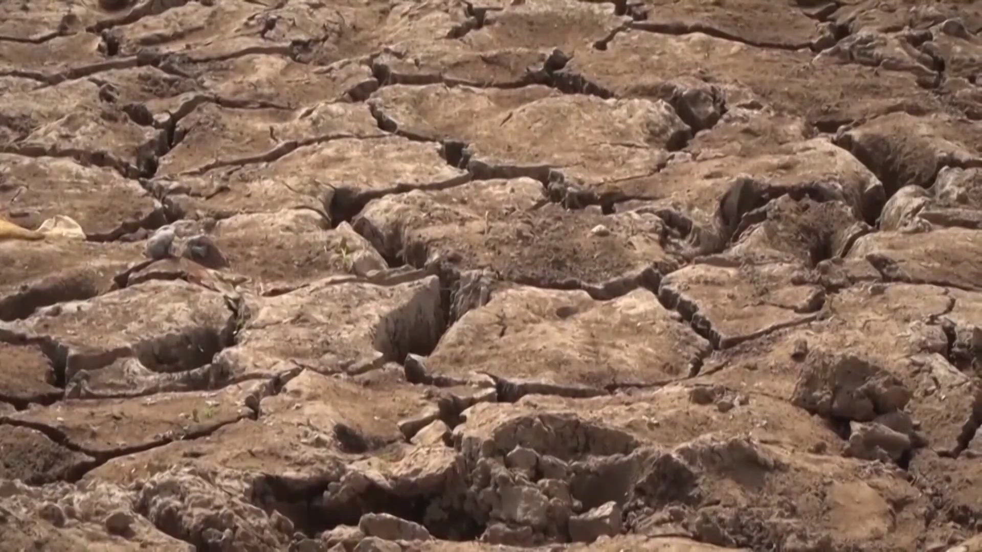 2025 was 3rd hottest year on record