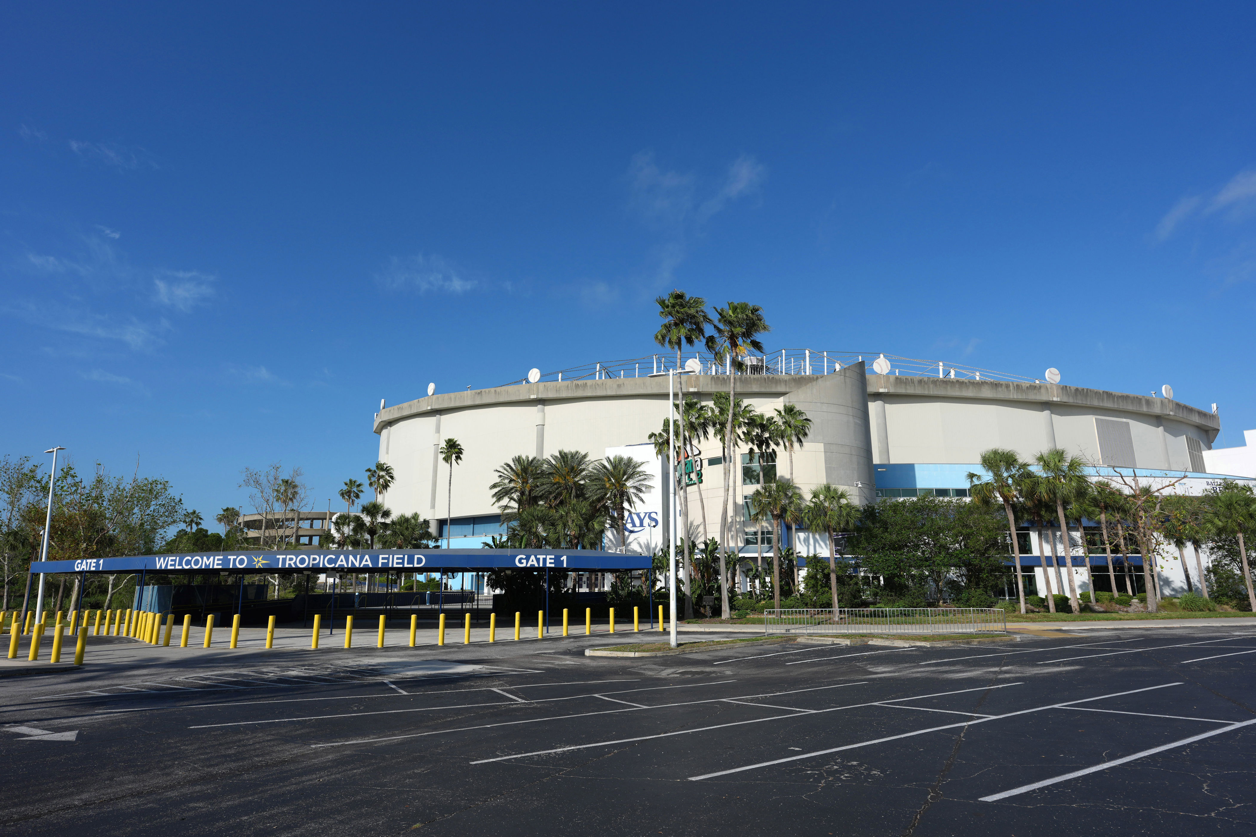 Rays announce outdoor fan fest details for Feb. 14