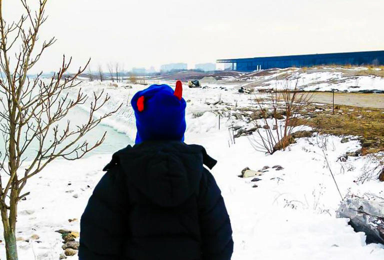 MLK weekend 2026 in Chicago: 18 best things to do with kids