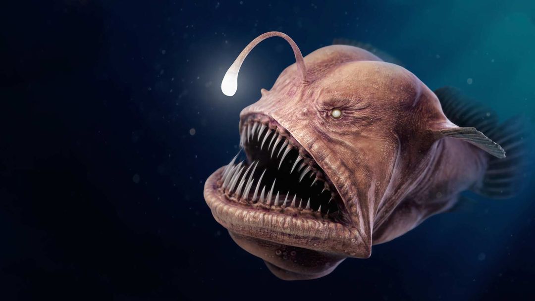 Exploring the deepest points on Earth