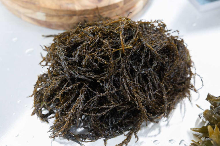 Nationwide recall issued for 14 flavors of sea moss gel superfood for ...