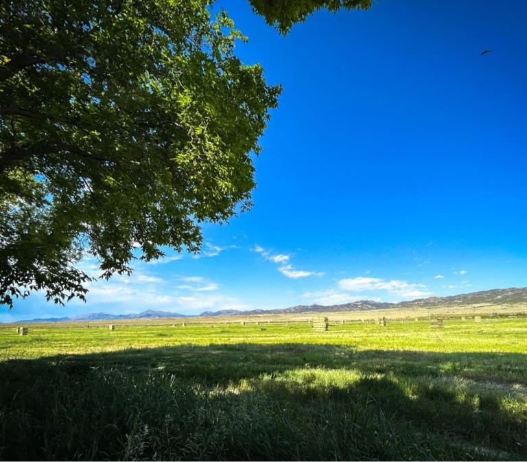 A 900K-acre land sale just made LA Rams owner Stan Kroenke the nation’s ...