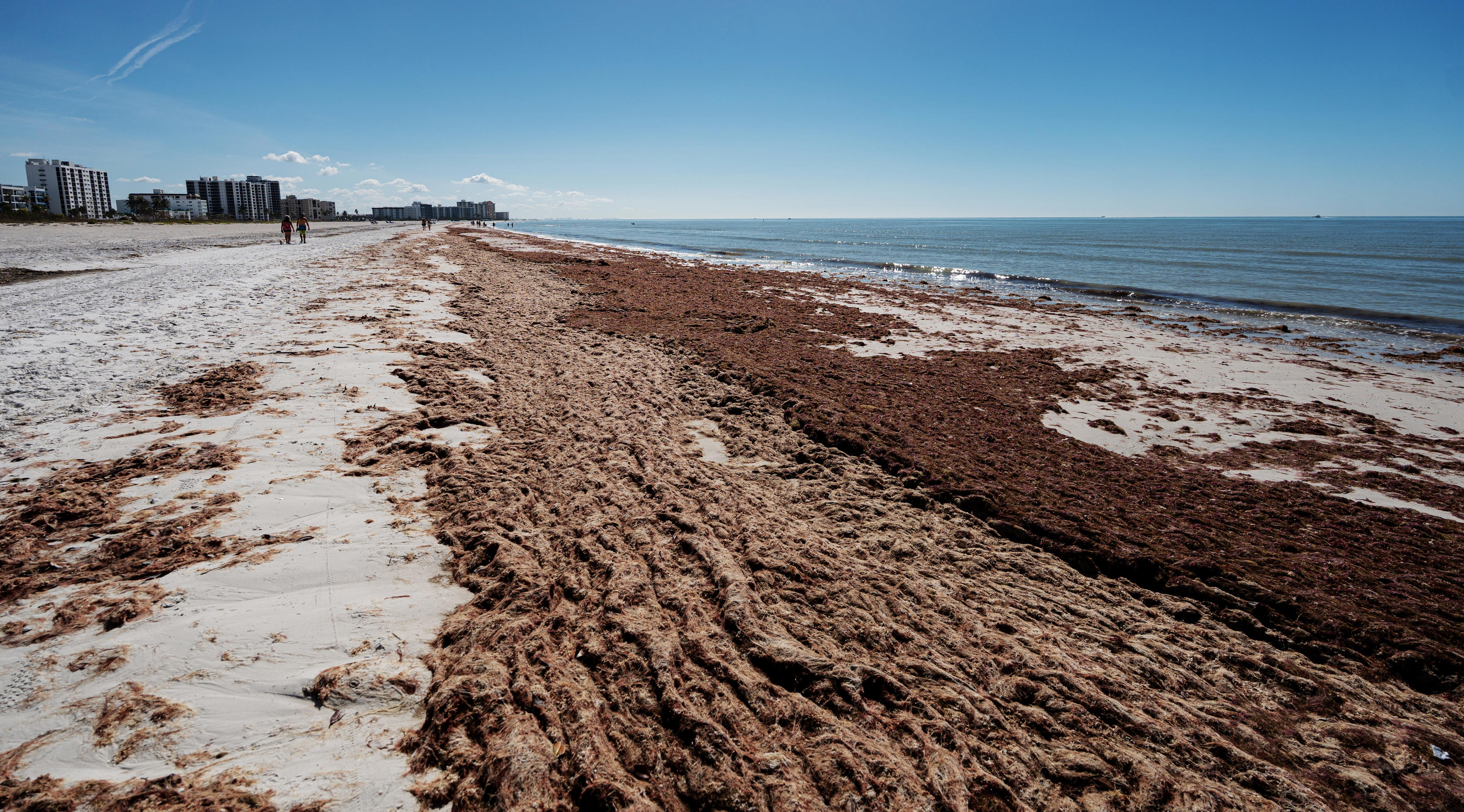 Fort Myers Beach park water now safe. Source of poop remains a mystery