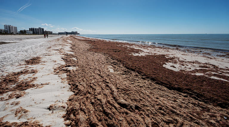 Fort Myers Beach park water now safe. Source of poop remains a mystery
