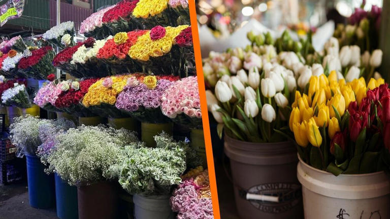 No es Ámsterdam, es la CDMX: el Mercado de Jamaica se llena de ...