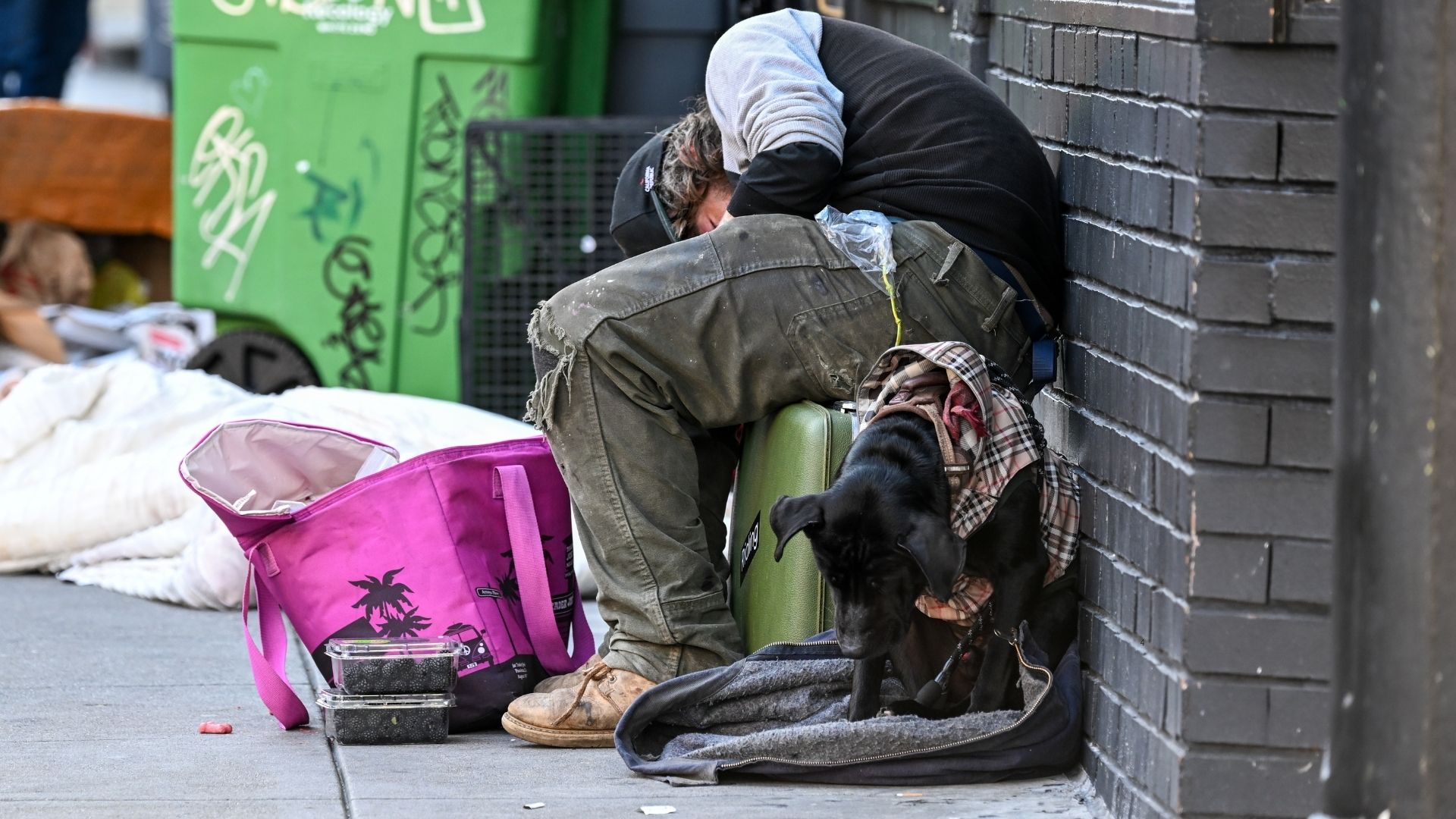 White House cuts billions in addiction recovery, mental health grants ...