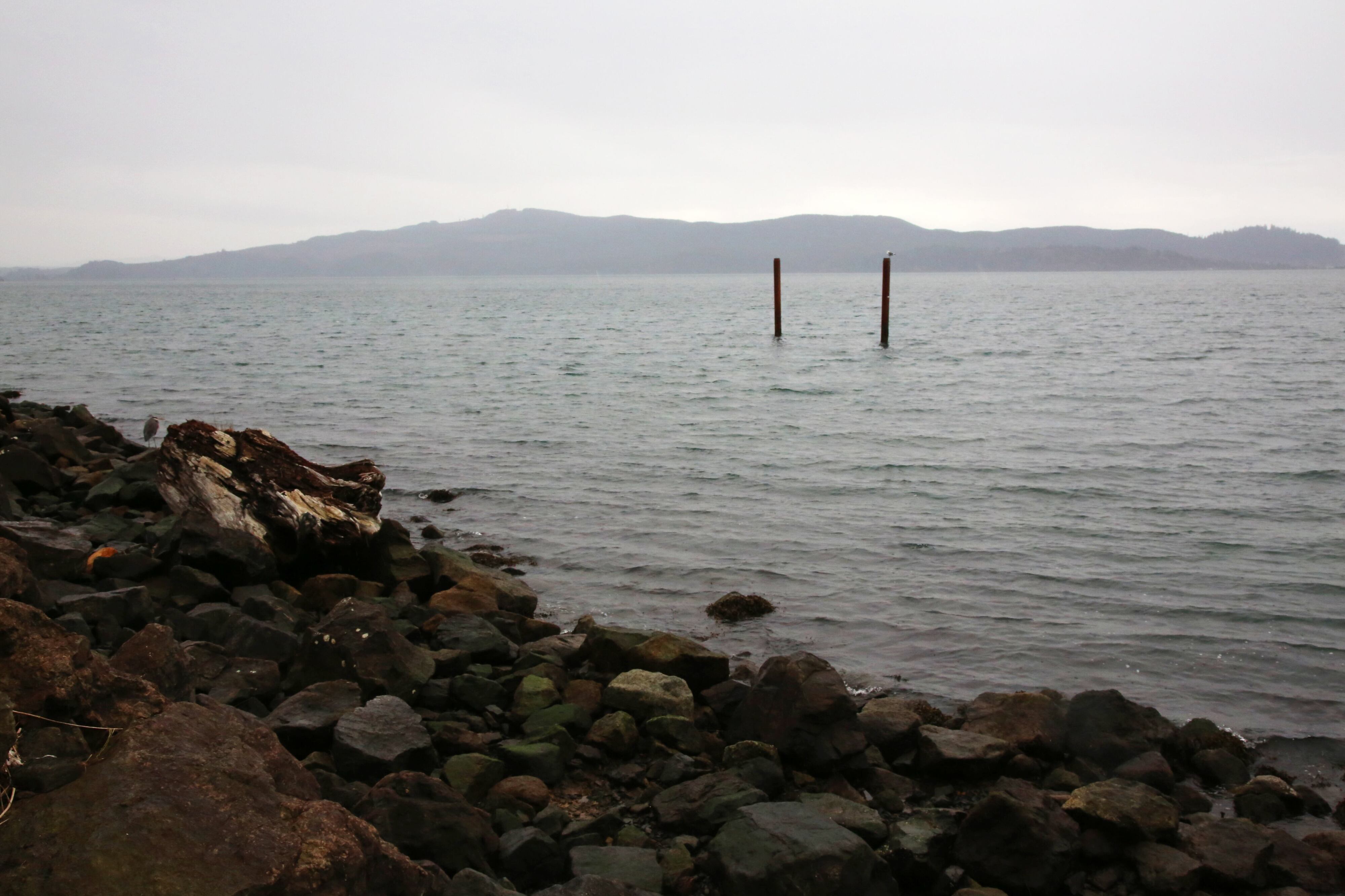 An Oregon mayor went missing on a crabbing trip in 2006. 20 years later ...