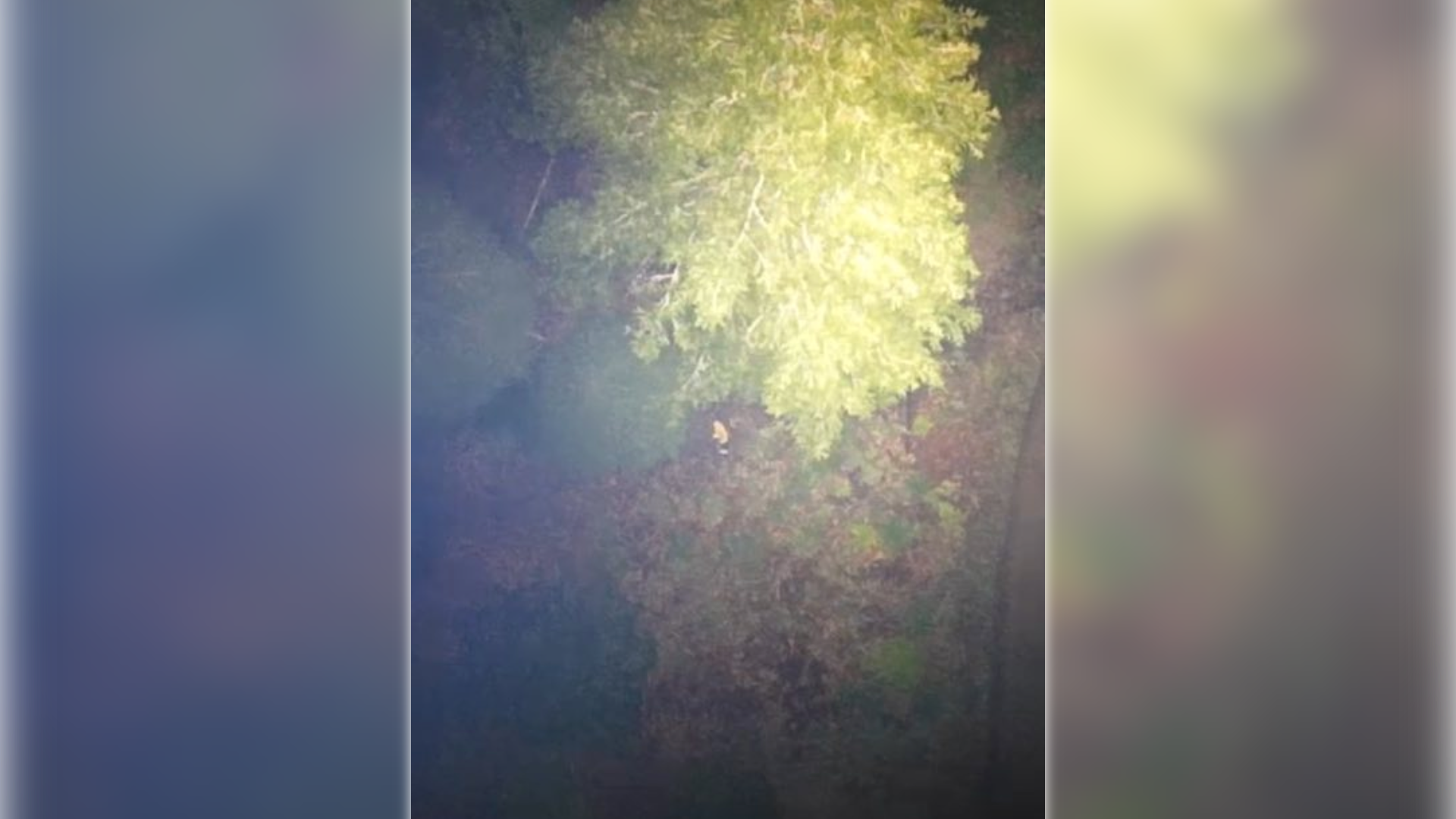 Drone finds missing 76-year-old hiker curled beneath tree in Nevada County